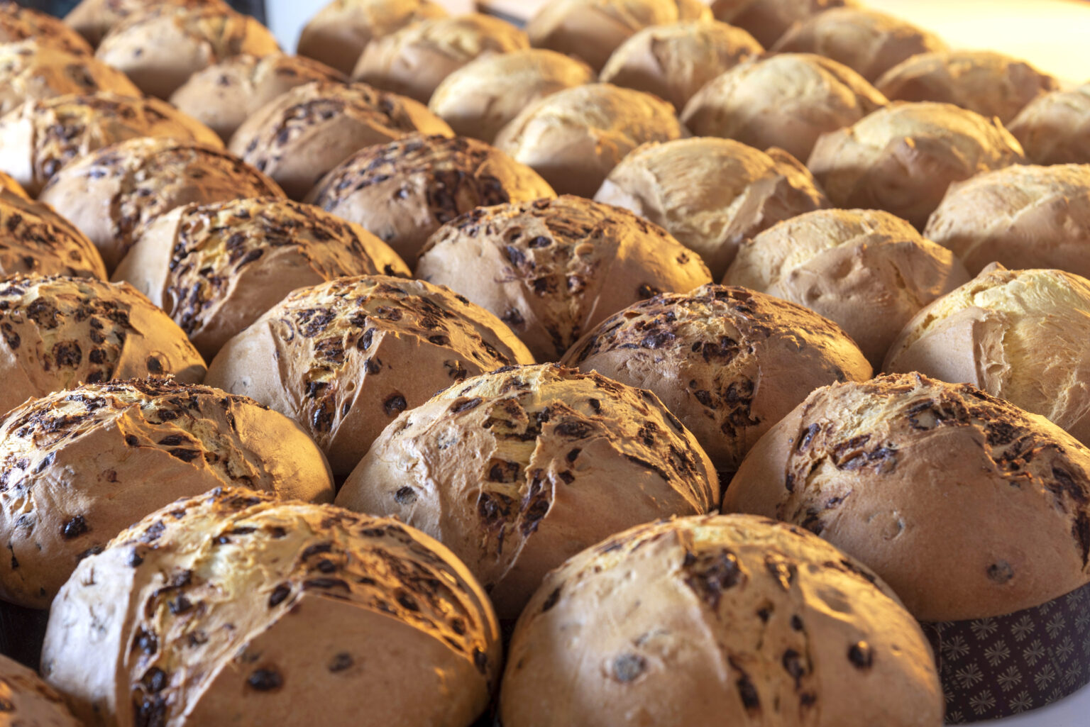 The DACASTO Panettone: An Italian pastry masterpiece - Buonissimo