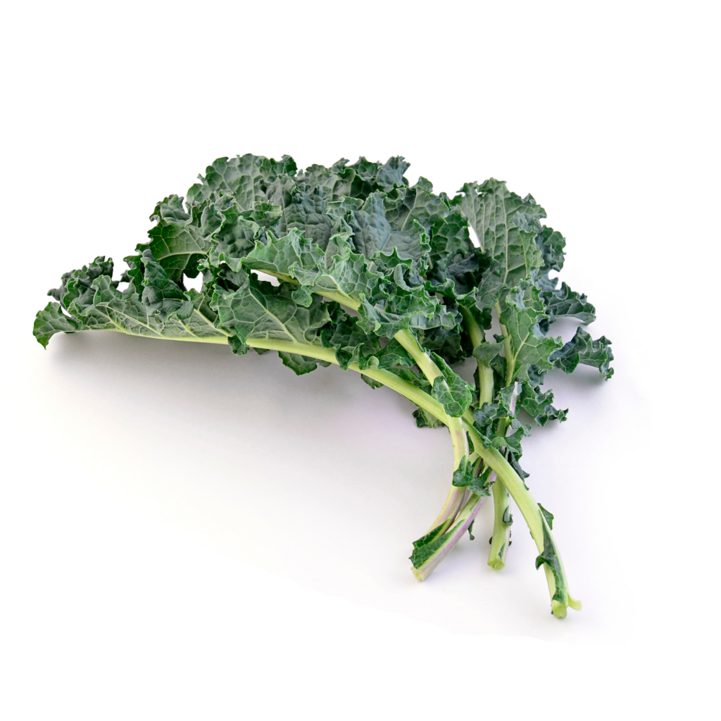 Cut & Share Recipe: Three Cabbage Flan with Pecorino Toscano DOP and ...