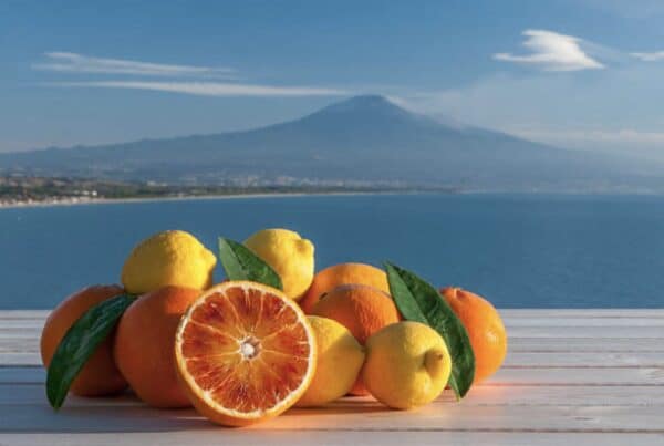 When Life Hands You Agrumi – Italian Citrus Fruits - Buonissimo